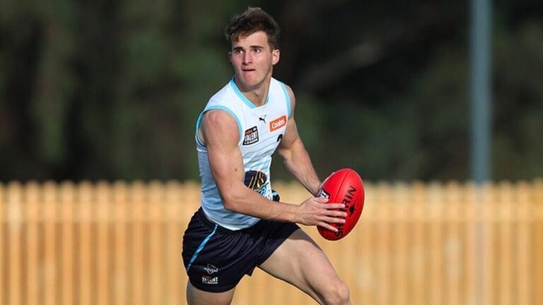 Archer Day-Wicks Net Worth in 2026: AFL Salary, Contract, Career ...